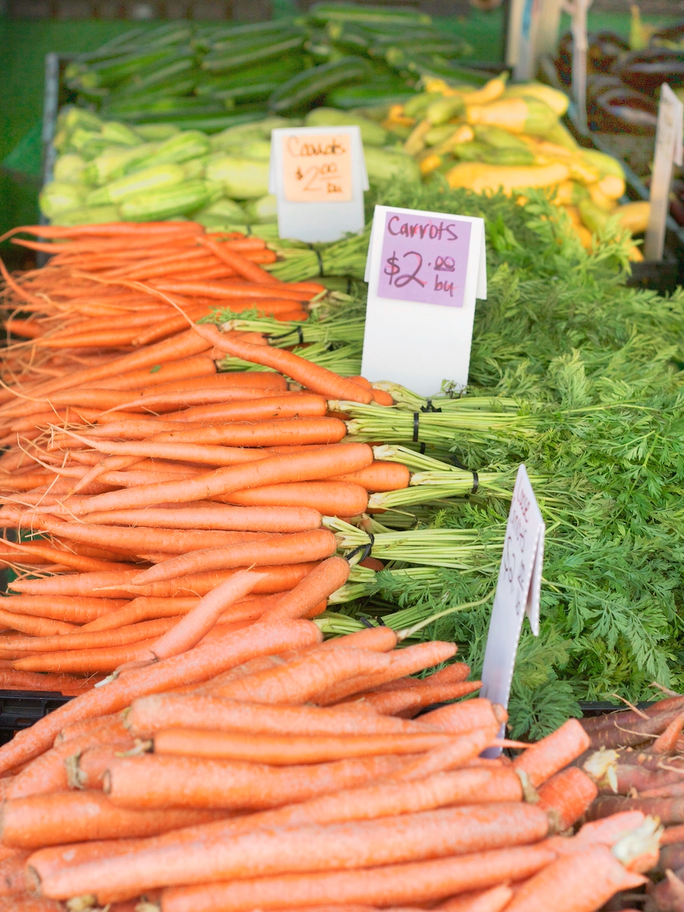 Clay Pot Vegetable Beef Stew – Dolly’s Kettle