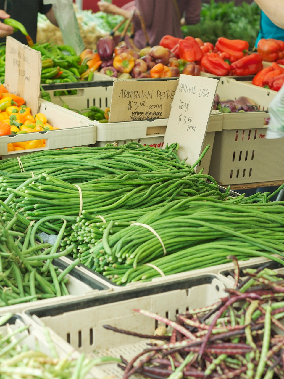 Chinese Long Beans With Shallots and Toasted Almonds – Dolly’s Kettle