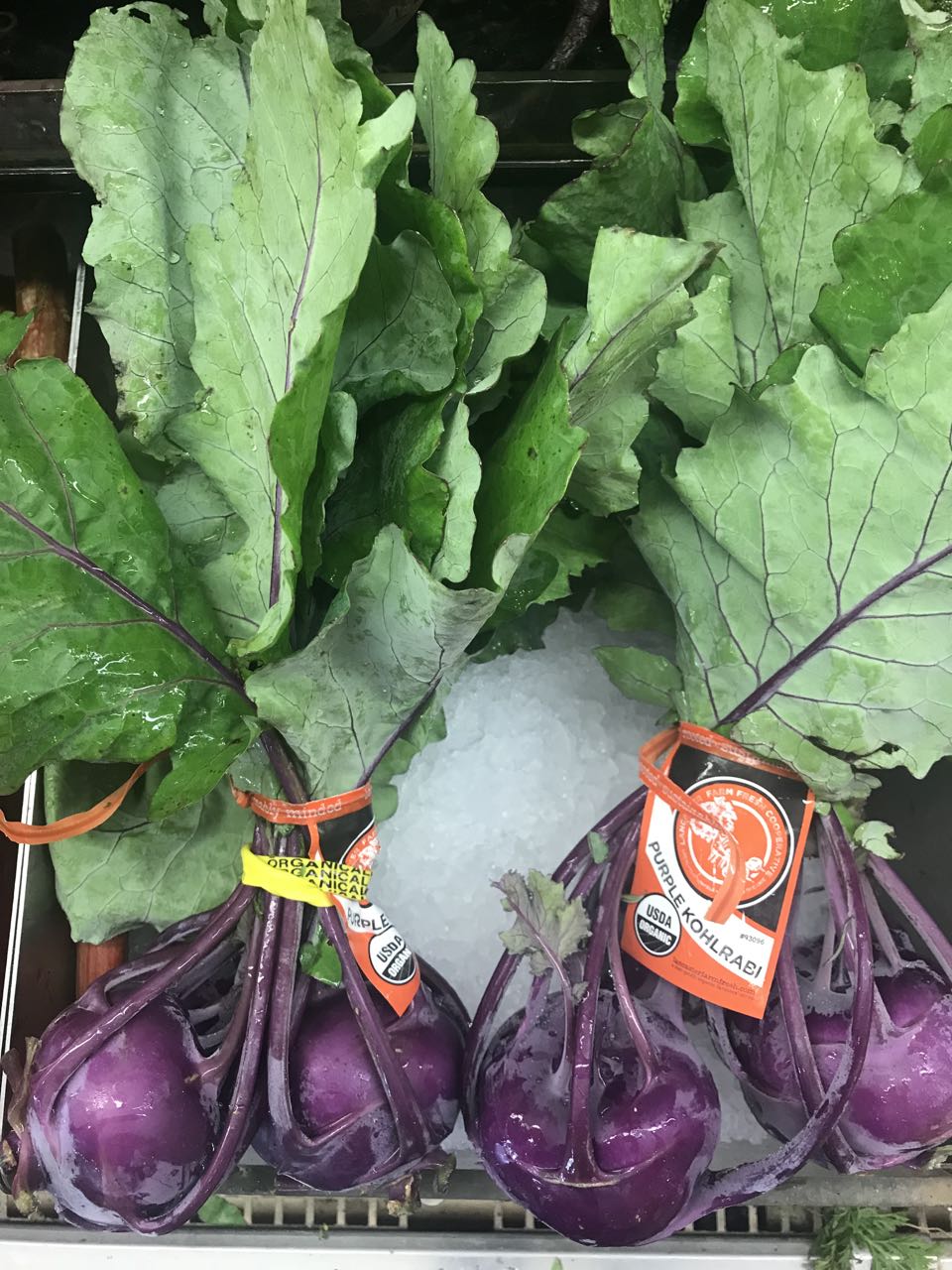 Roasted Kohlrabi and Radishes – Dolly’s Kettle