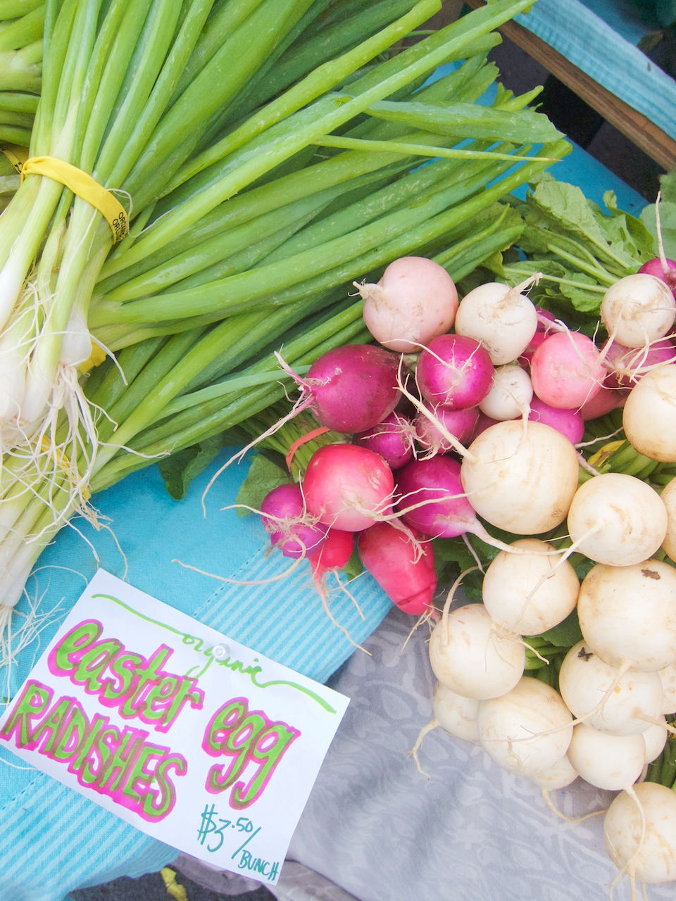Roasted Kohlrabi and Radishes – Dolly’s Kettle